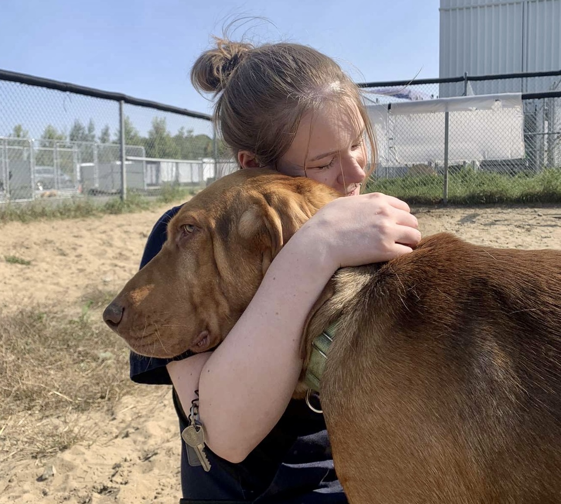 Understanding and Managing Rescue Dog Behavior